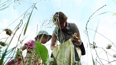 Juventud, subempleados y pobres en Polonia