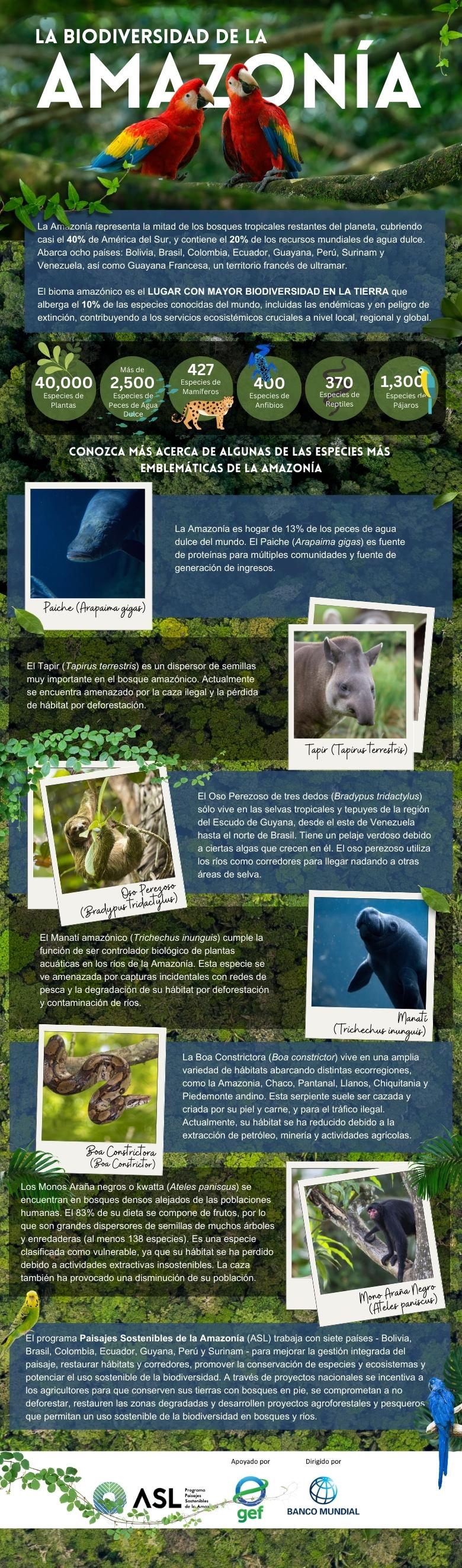 La Biodiversidad de la Amazonía. Conozca más acerca de algunas de las ...